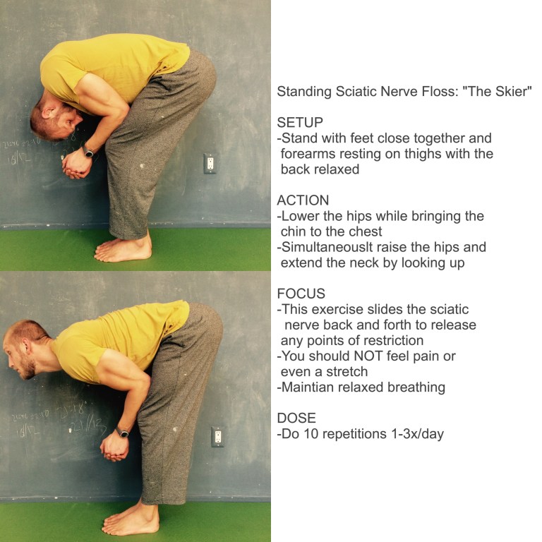 How to touch your toes | Posture Movement Pain