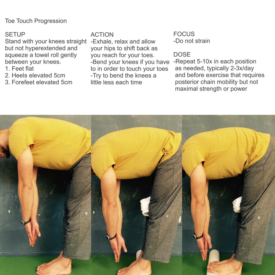 How to touch your toes | Posture Movement Pain