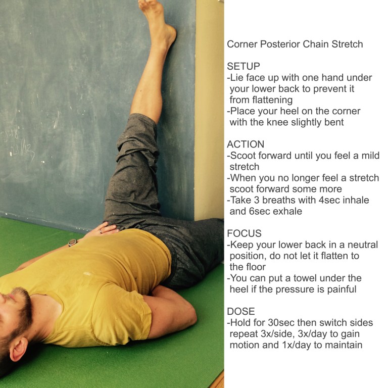 How to touch your toes | Posture Movement Pain