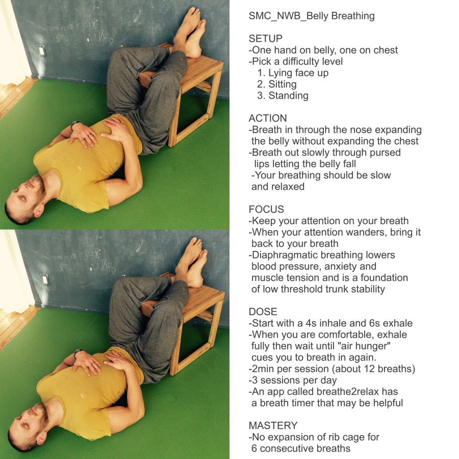 How to touch your toes | Posture Movement Pain